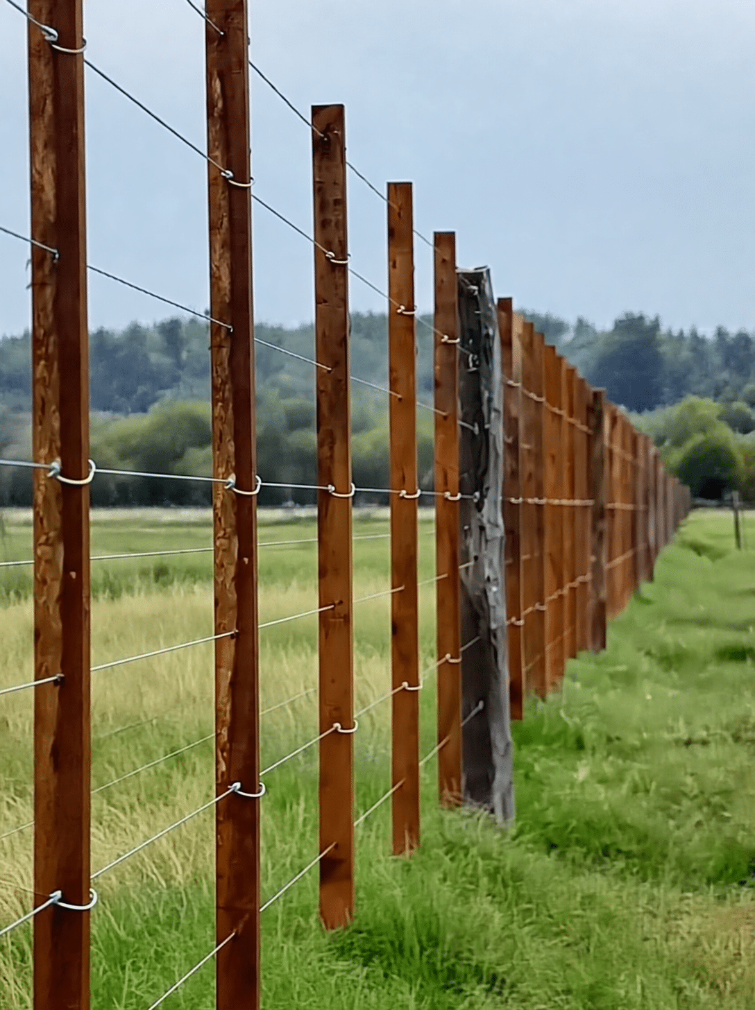 Servicio de Instalación de Alambrados de Ley (7 Hilos)